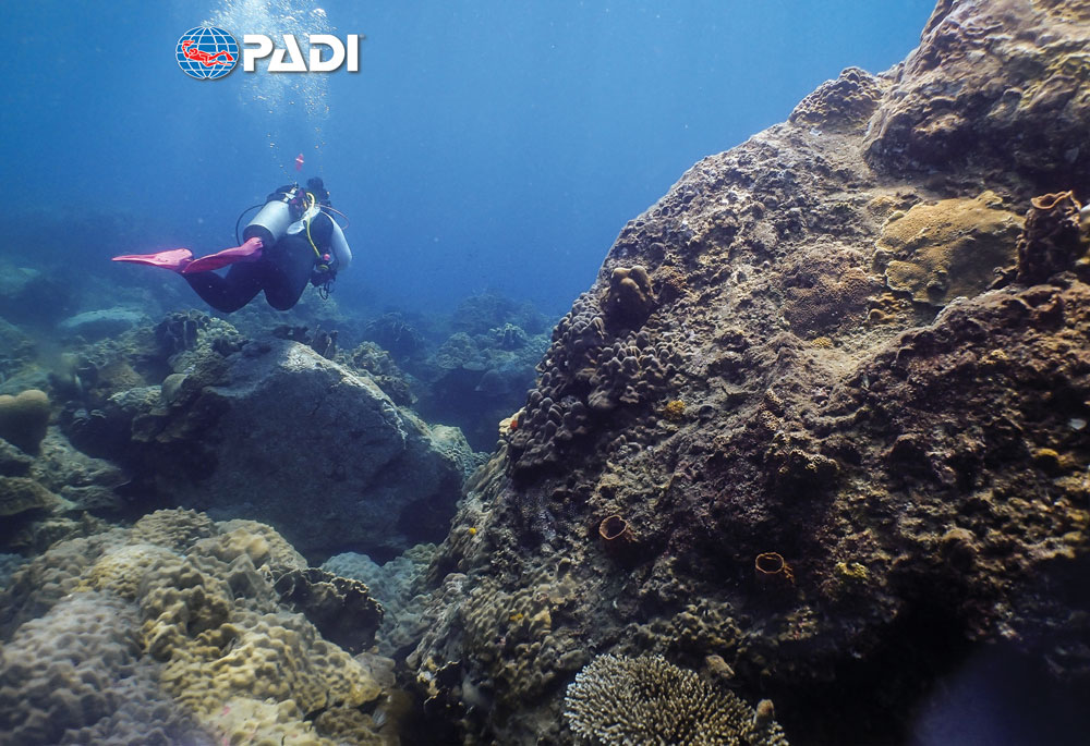 PADI Diving Course - Pattaya Trader